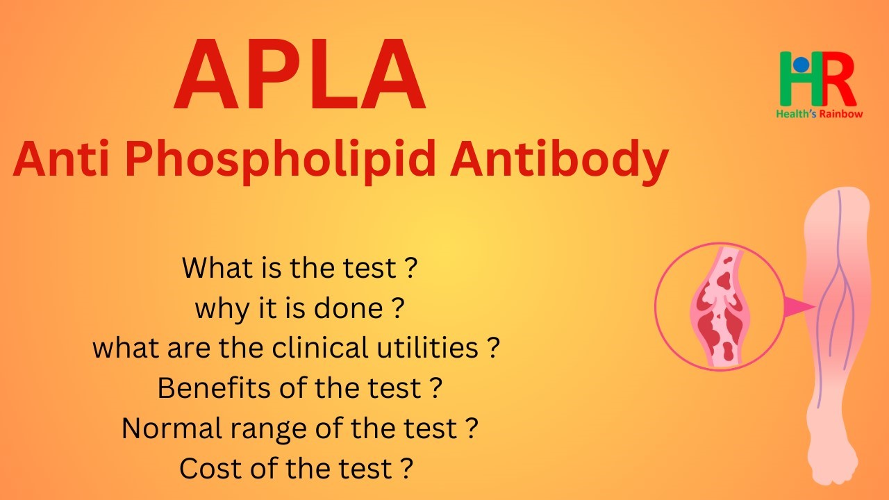 APLA Panel Test: An Overview of Antiphospholipid Antibody Testing ...